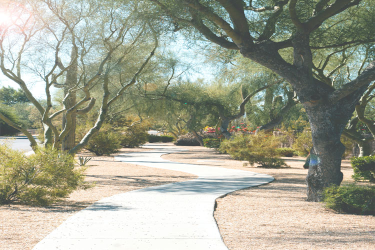 Creating your own walkway for walking meditation: A complete guide ...